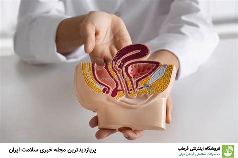 پروستات چیست مجله سلامتی فرطب