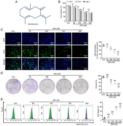 Effects Of Gm On Hepg2 Cell Growth A Chemical Structure Of Gm B