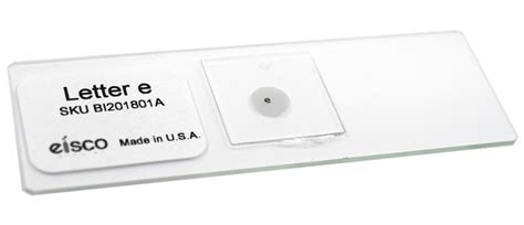 Prepared Microscope Slide Letter E 75 X 25mm Introductory