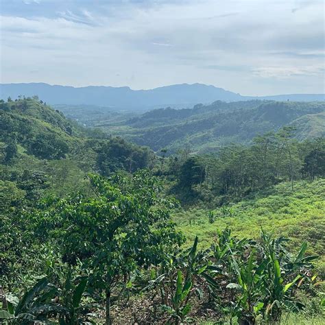 Mount Makiling Guide Added A New Photo Mount Makiling Guide