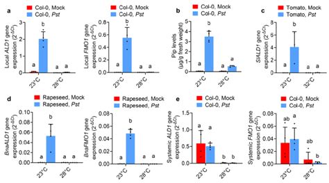 Plant Nhp Biosynthetic Gene Expression And Pip Production Are