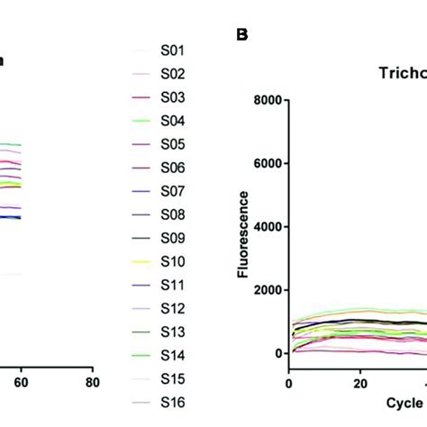 Loop Mediated Isothermal Amplification Lamp System Specificity Download Scientific Diagram