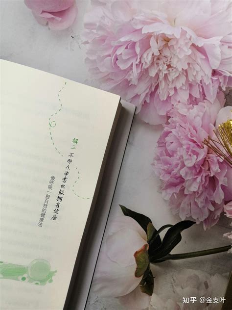 我想成为一个根系扎实的人一本让你改变生活习惯和工作态度的64个好习惯清单 知乎
