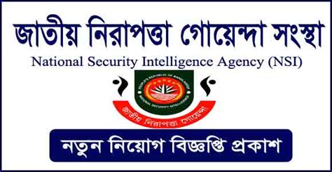 ২৫৫ পদে জাতীয় নিরাপত্তা গোয়েন্দা সংস্থা এনএসআই নিয়োগ বিজ্ঞপ্তি ২০২৫