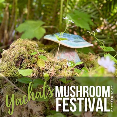 Mushroom Festival Australia At Phillip Dorsey Blog