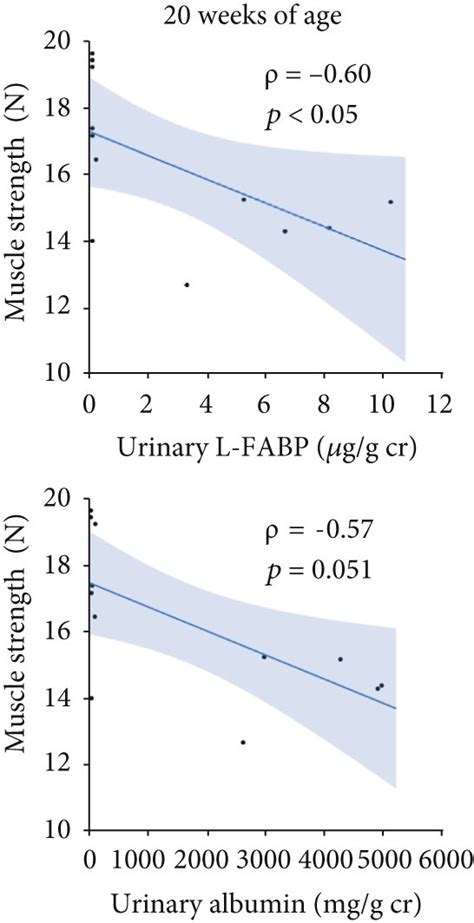 Correlations Between Each Urinary Marker And Muscle Strength At 16 A