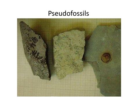 Geologic Time And Earth History Ppt Download