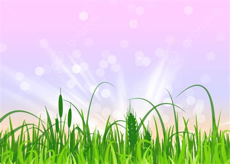 Light Spot Grass Gradient Cold Color Background Gradient Light Spot Grass Background