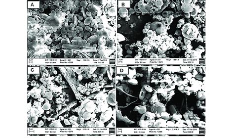 Scanning Electron Micrographs Sem Illustrating The Effect Of Storage