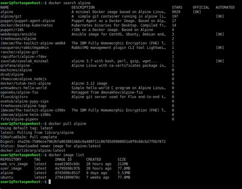 Using Alpine Linux With Docker Fortaspen