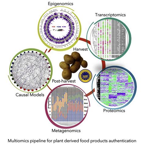 Pipeline Creation Services Edgene Biomed