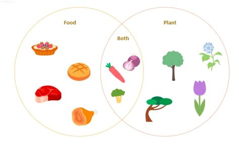 Euler Diagram And Venn Diagram Learn With Examples