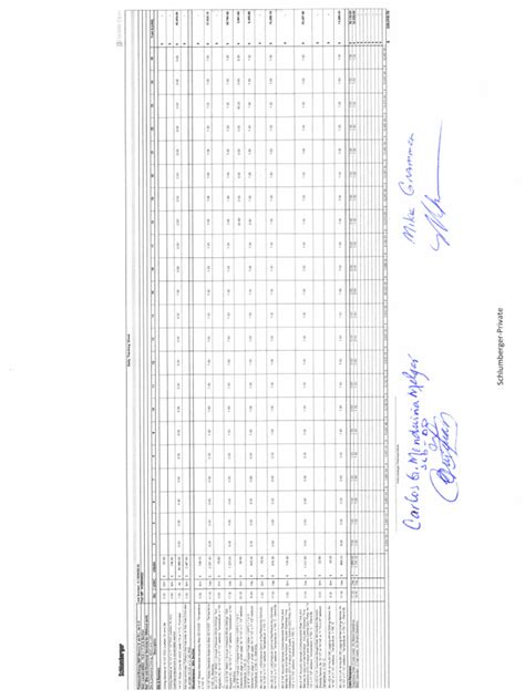 Slbdmichalkil 8des Daily Tracking Sheetmarzo 2024 Pdf