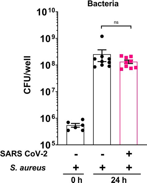Cell Press Star Protocols