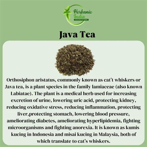 Java Tea Dry Leaf Extract Powder Packaging Size 25 Kg At ₹ 1850kg In
