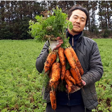 제주 당근 상 3kg 홈플러스 택배배송