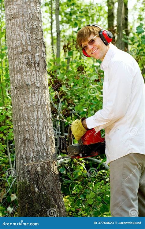 Man Cutting Down A Tree Stock Image Image Of Summer 37764623