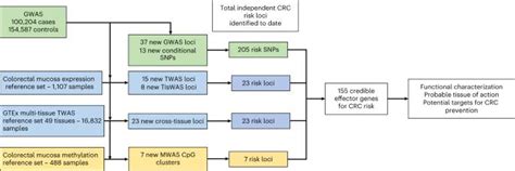 Bioreperia On Linkedin Deciphering Colorectal Cancer Genetics Through Multi Omic Analysis Of