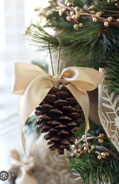 ჯიშიანი ძაღლების შეჯვარება ჯიშიანი ძაღლების შეჯვარება