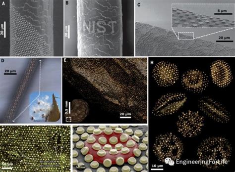 Science重磅：糖浆溶液“摇身一变”成3d打印新材料 3d科学谷