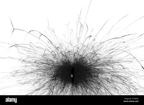 Flash Sparks Black On White Monochrome Abstraction Explosion Of