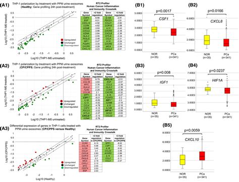 RT² Profiler PCR Array Human cancer inflammation and immunity Download Scientific Diagram