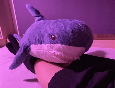 Average Blåhaj Enjoyer Rblahaj