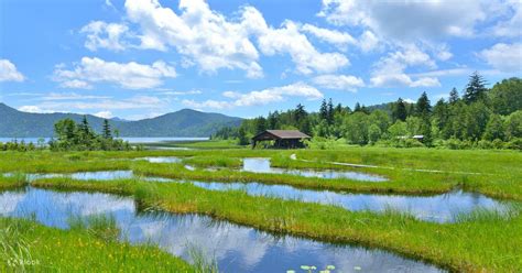 【群馬絕景登山遊】日本最大高原溼地「尾瀨之原」＆尾瀨國立公園健行一日遊｜東京出發 Klook 客路