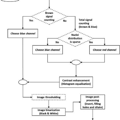 Watershed Algorithm Steps A Binary Image Containing Two Overlapping