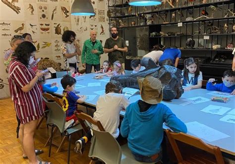 Gigantes Do Passado Livro Revela Mamíferos Habitantes Do Brasil