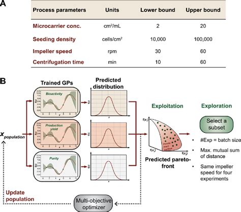 A Lower And Upper Boundaries Considered For The Different Process