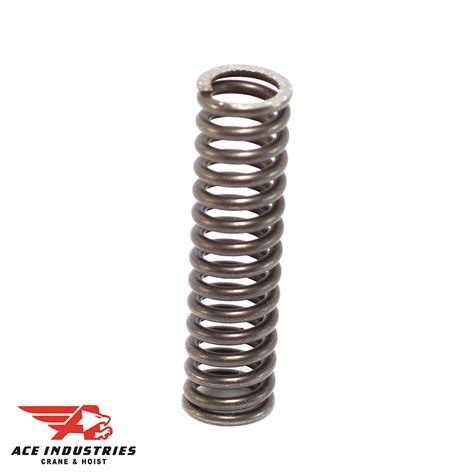 Pawl Spring 10004 11055300