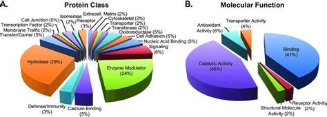 Proteomics Gene Ontology Summary Pie Charts Of The A Protein Class