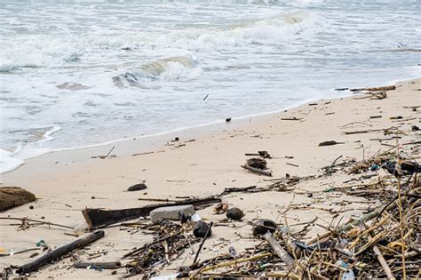 열대 해변은 쓰레기와 쓰레기로 완전히 덮여 있습니다 발리 섬 짐바란 해변 인도네시아의 생태 재앙 지구 해양오염인류의 자연재해 0명에 대한 스톡 사진 및 기타 이미지 Istock