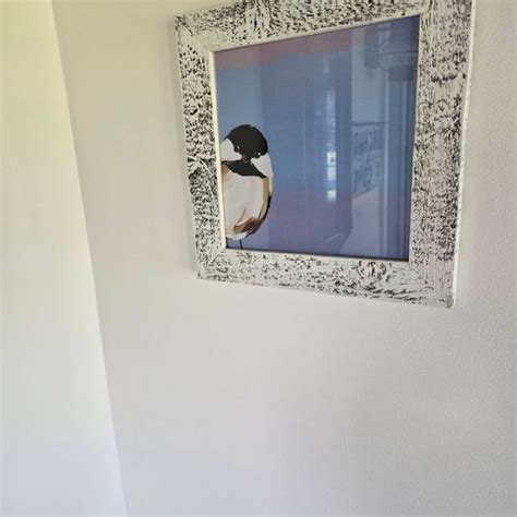 Tufted Titmouse Bird Art Print Etsy