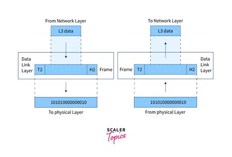 Layers Of OSI Model Scaler Topics