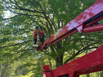 Why Use A Remote Control Crane For Tree Work Godspeed Tree Service Winston Salem NC