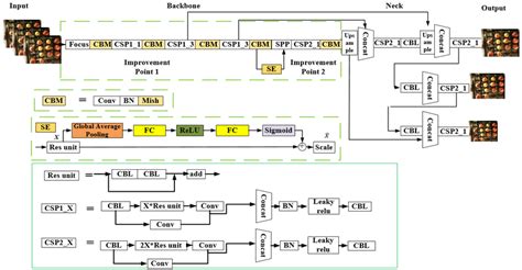 Diagram Of The Improved Network Structure Of Yolov5 Download Scientific Diagram