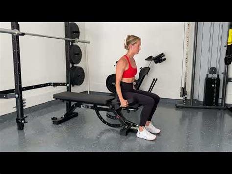 Seated Bicep Curls YouTube