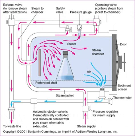 Autoclave Sterilization Principle Procedure Types Uses • Microbe Online