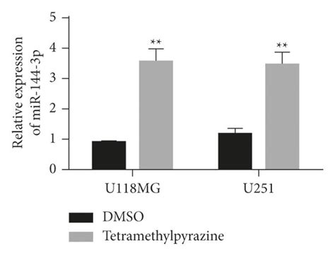 Tmp Inhibits Glioma Cells Through The Ubl7 As1mir 144 3p Pathway A