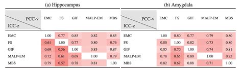 Table 6 From Differences Between Mr Brain Region Segmentation Methods