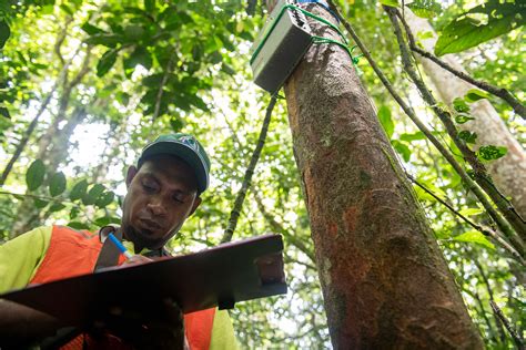 How Sis Enhances Transparency In Redd Projects Papua New Guinea Sis Platform