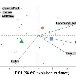 Principal Component Analysis PCA Of The Significantly Different Download Scientific Diagram