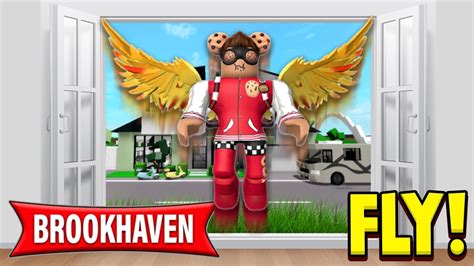 Roblox Fly Hack Download 2021 Chi Dierking
