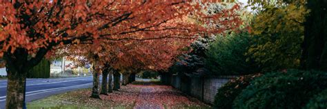 Ruby Leclaire Rubyleclaire Twitter