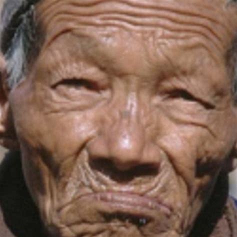 Super Resolution 3× Comparison Of Bicubic Interpolation Gradient Download Scientific Diagram