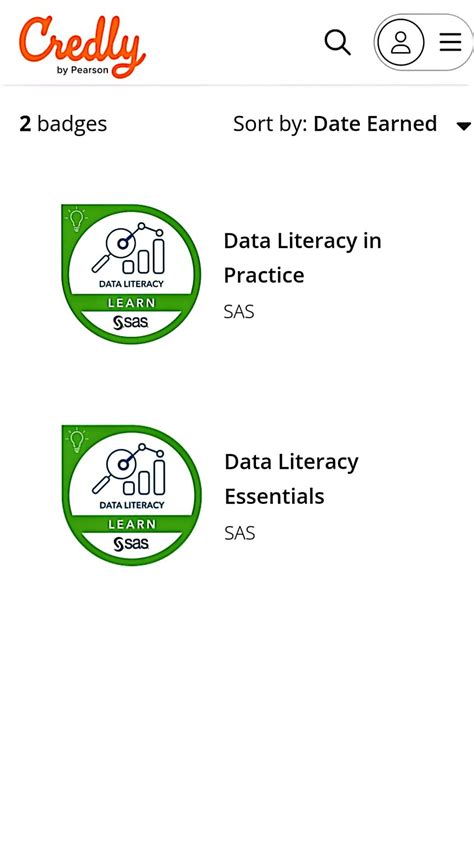 Shahd Yousry On Linkedin Cibsummerinternship2024 Sas Datascience Datalite