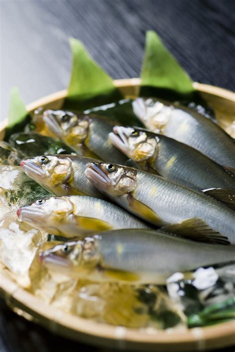 おかげ様で24年鮎料理専門店鮎やモネの池5分板取川沿いです