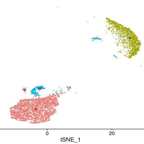 Tsne Map Of Mouse Peripheral Blood Neutrophils Single Cell Sequencing